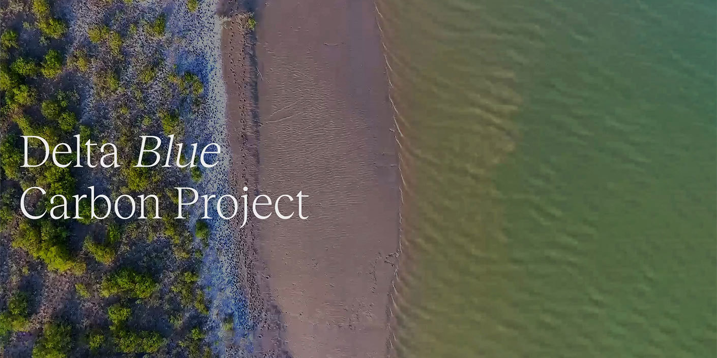 Delta Blue, Pakistan